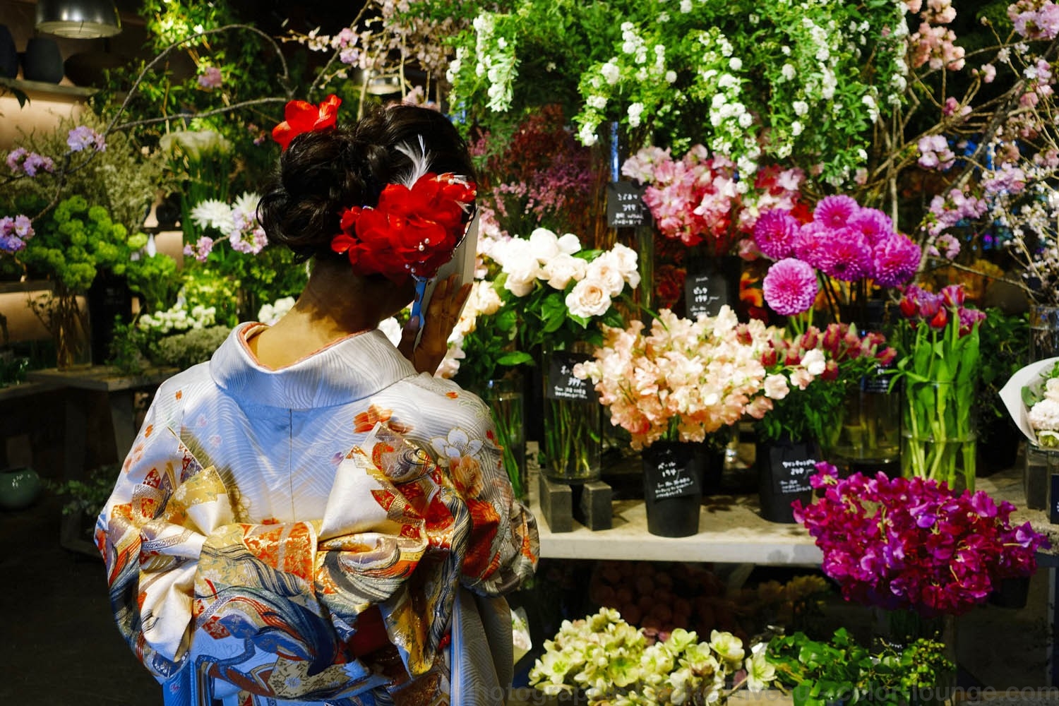 Tokyo - Color Lounge